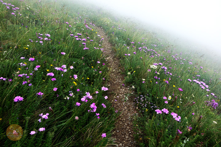 Climbing Mount Khustup - the Jewel of Southern Armenia